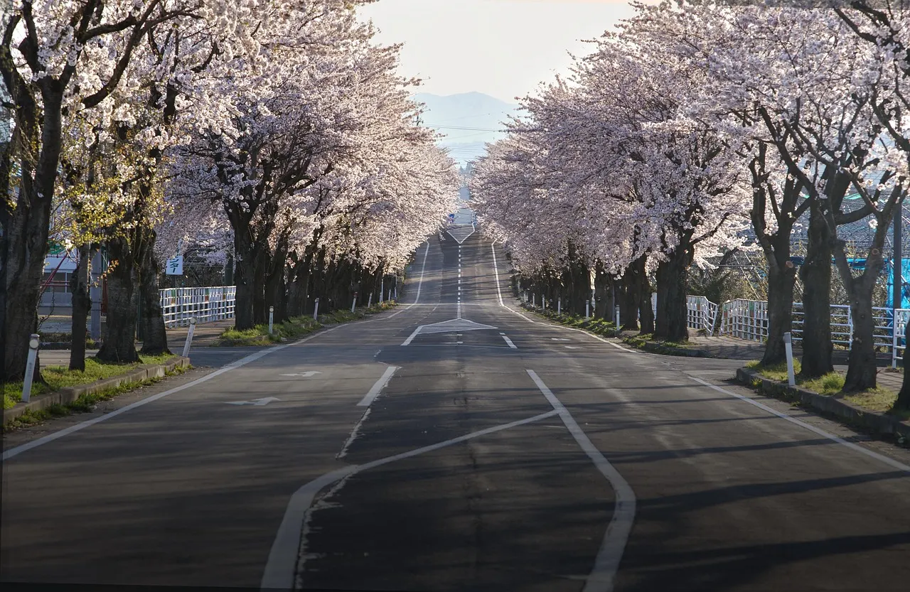 Japan typhoon season travel risk playbook (2026) — Japan Atlas